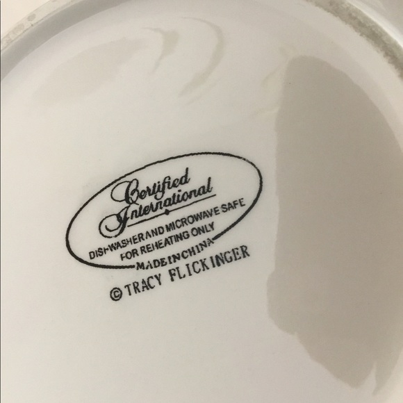 Certified International | Dining | Tracy Flickinger Chef Plates | Poshmark